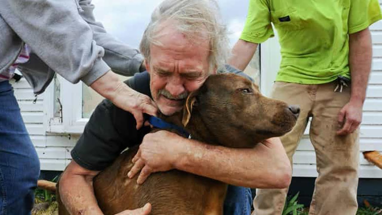 Animals Reunited With Owners After Years! - YouTube