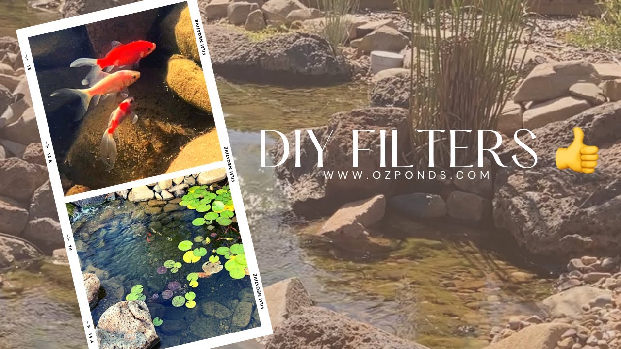 DIY goldfish pond and stream| DIY Filters - YouTube