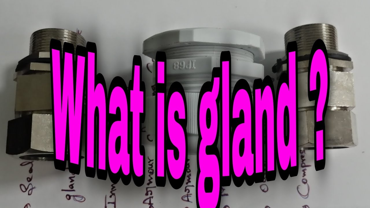 Detail Explanation and working of a Gland - YouTube