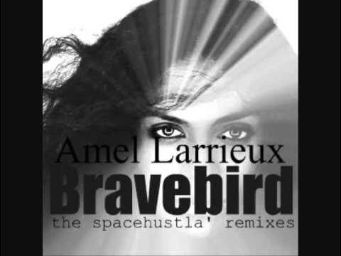Amel Larrieux - Bravebird (hustla's vocal mix) - YouTube