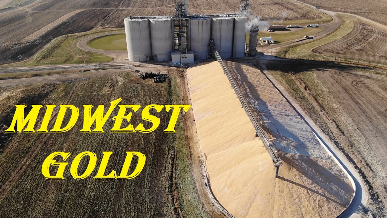Midwest Gold - YouTube