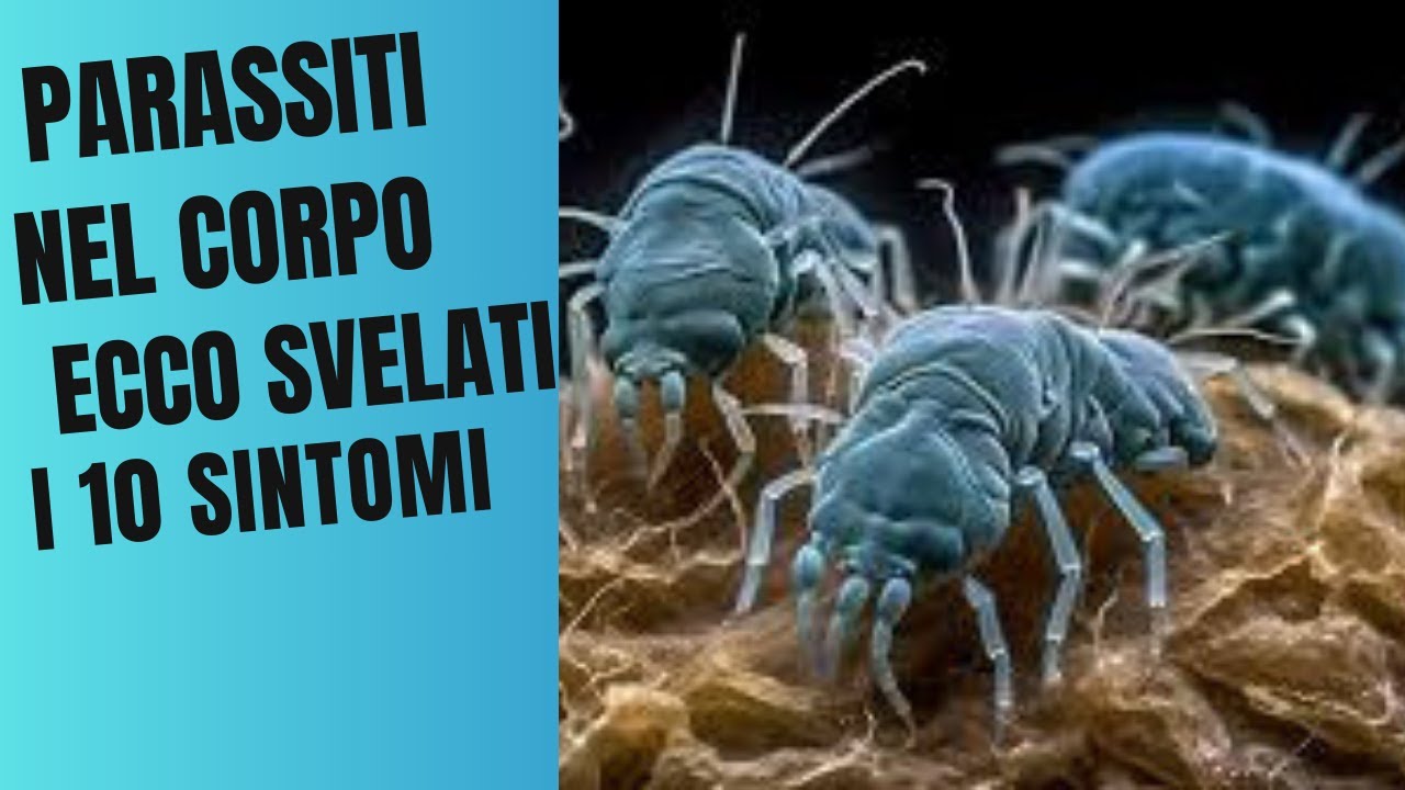 I Parassiti Potrebbero Essere Nel Tuo Corpo Ecco 10 Sintomi Che Lo ...