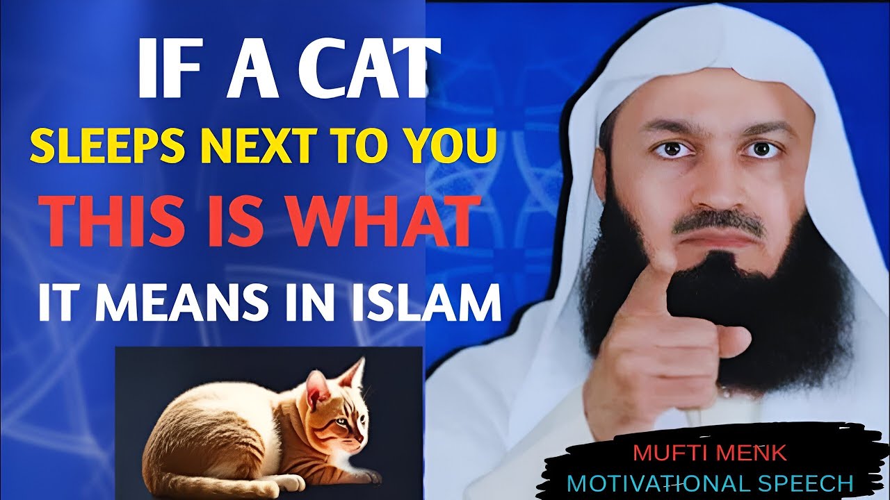 "IF A CAT SLEEPS NEAR THE QURAN" | A Beautiful Islamic Lesson | Mufti ...