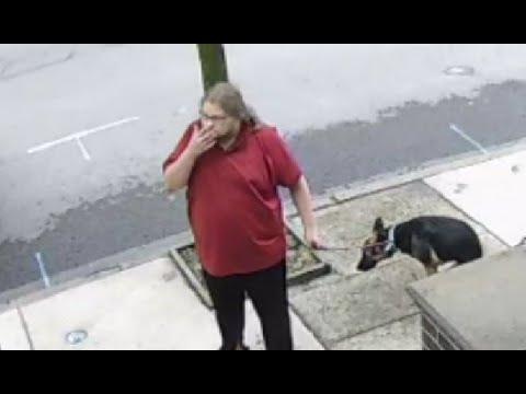 20220823 Dog crapper of Mount Carmel - YouTube