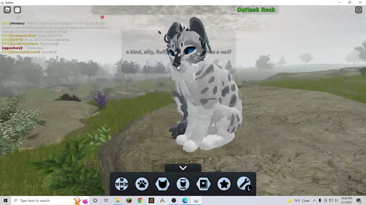 The Short Story Of Gray [WCUE] - YouTube