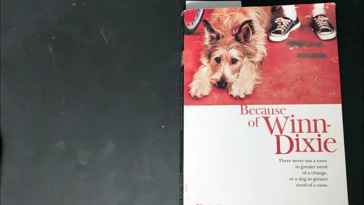 Because of Winn-Dixie read aloud chapter 13 - YouTube