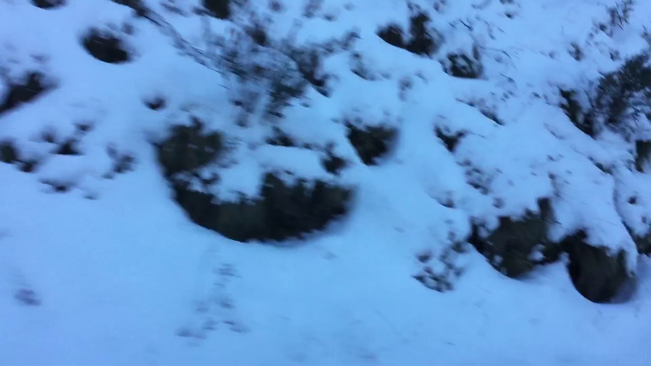 Snow day at Corin Forest Canberra 2019 - YouTube