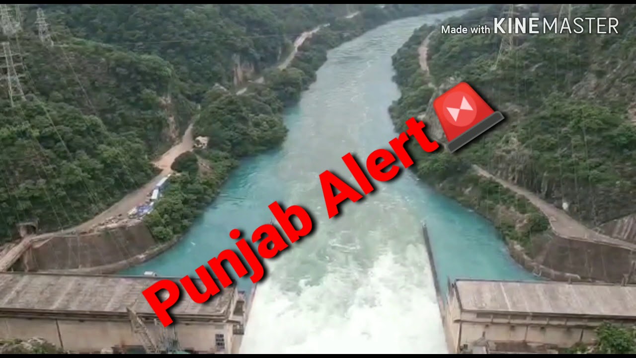 Punjab alert 🚨 satluj River also danger zone for 3day bhakhra dam open ...