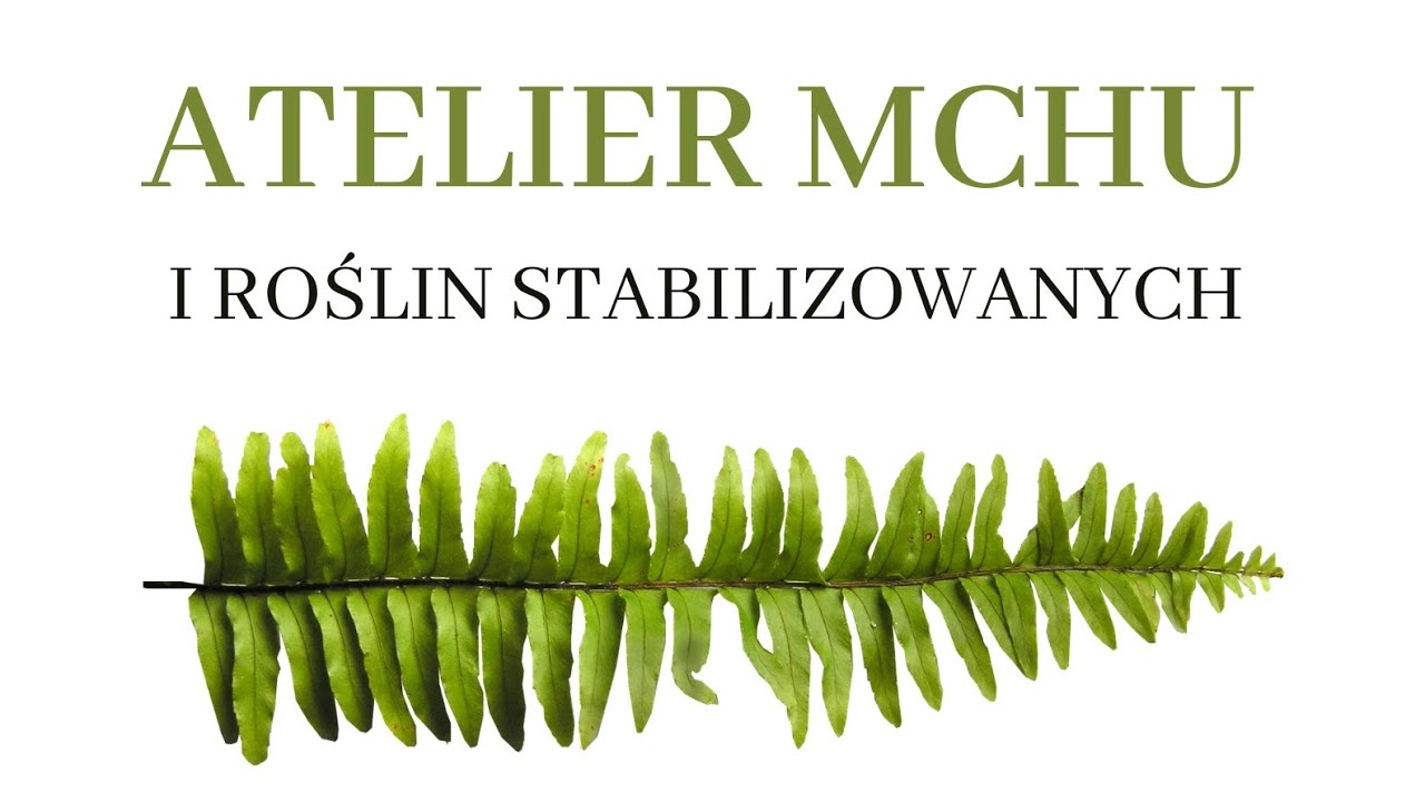 Obraz z mchu @Ateliermchu - YouTube