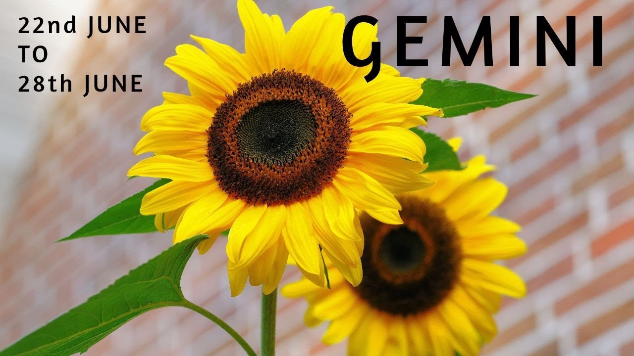 GEMINI YOU ARE ALONE, ALTHOUGH NOT LONELY | 22ND TO 28TH JUNE 2020 ...