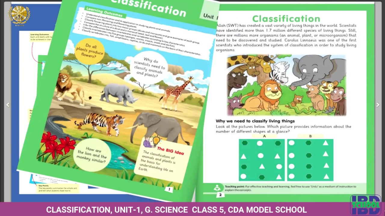 CLASSIFICATION, UNIT 1, G SCIENCE CLASS 5 - YouTube