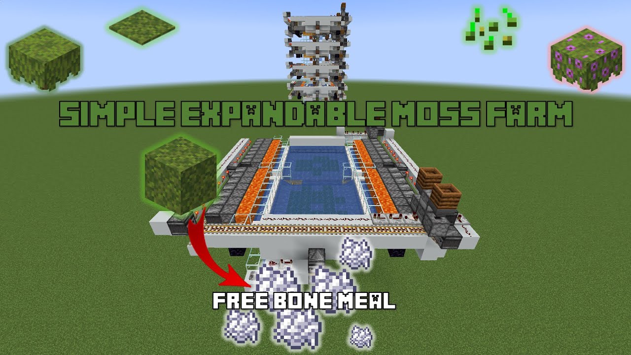 The Mother of all Modular Moss Farms (Explanation/Full Tutorial) - YouTube