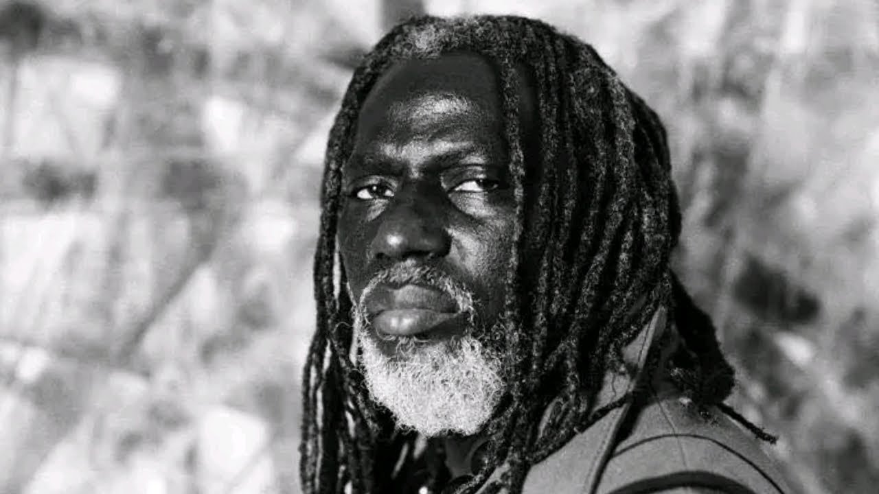 Tiken Jah Fakoly - Farana (New Reggae Song) Promo By Ins Rastafari ...