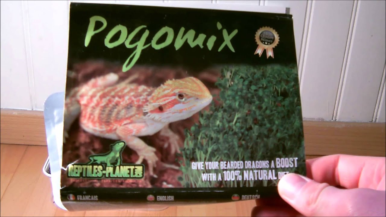 Test n°1 - Pogomix - YouTube