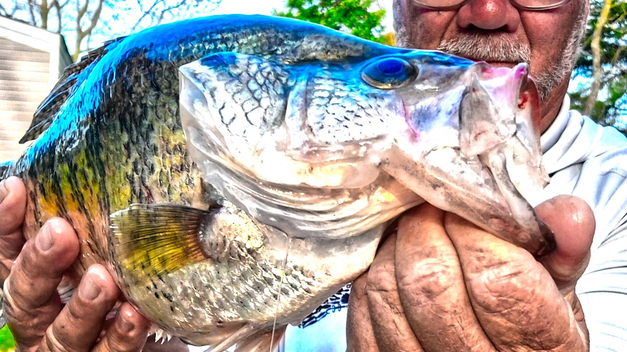A Simple Way To Catch JUMBO Crappie For Dinner With Live Minnows! - YouTube