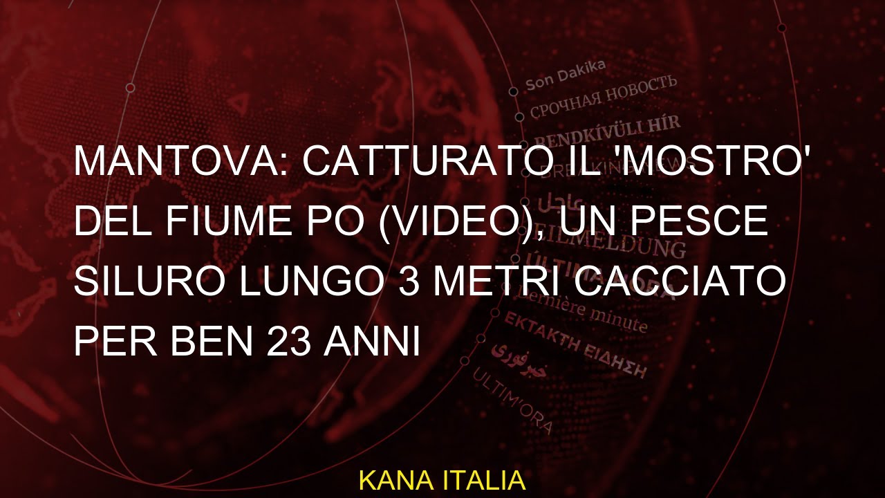 Mantova: catturato il 'Mostro' del fiume Po (Video), un pesce Siluro ...
