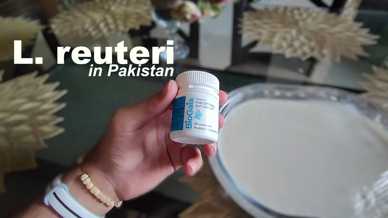 L Reutri Yogurt in Pakistan | Easy Way - YouTube