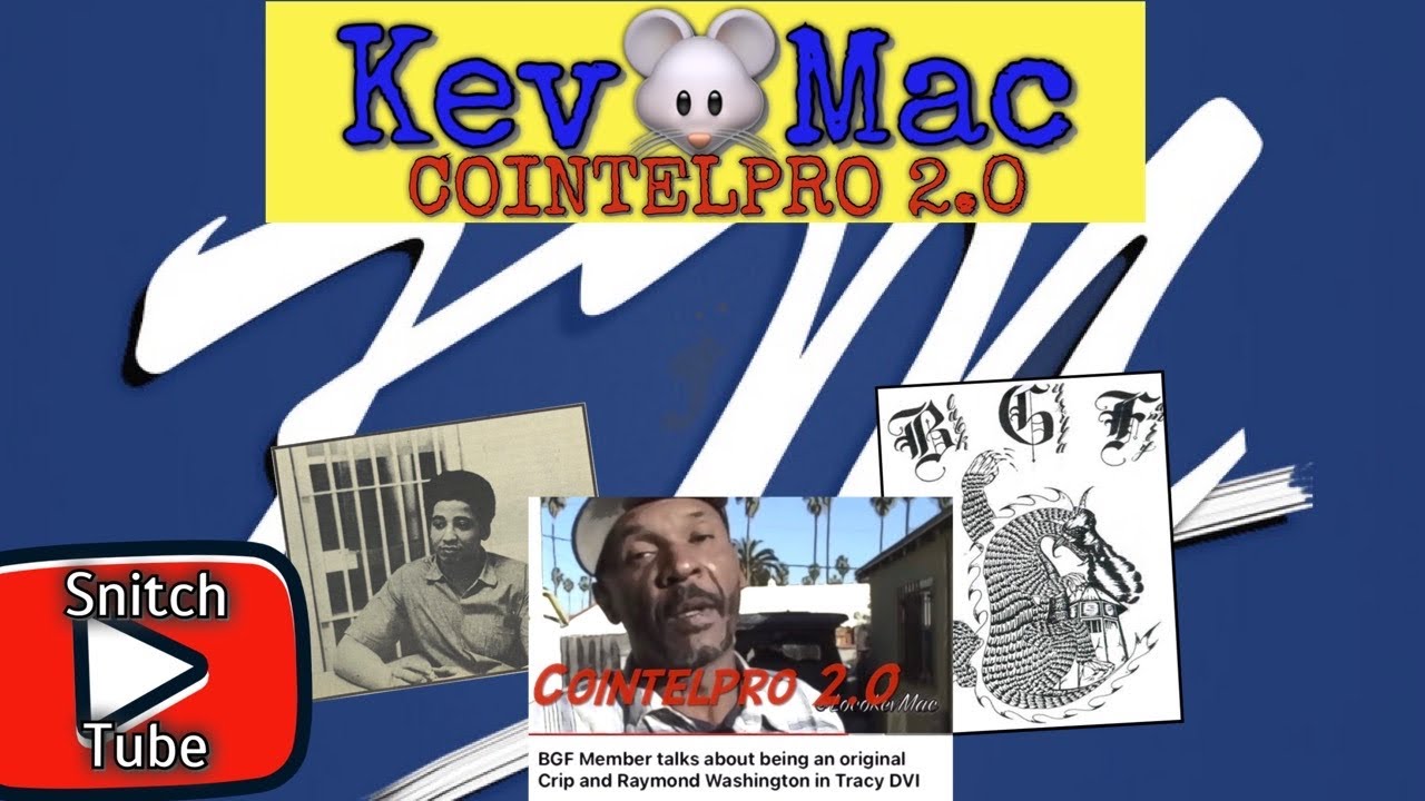 Kev🐭Mac COINTELPRO 2.0 - YouTube