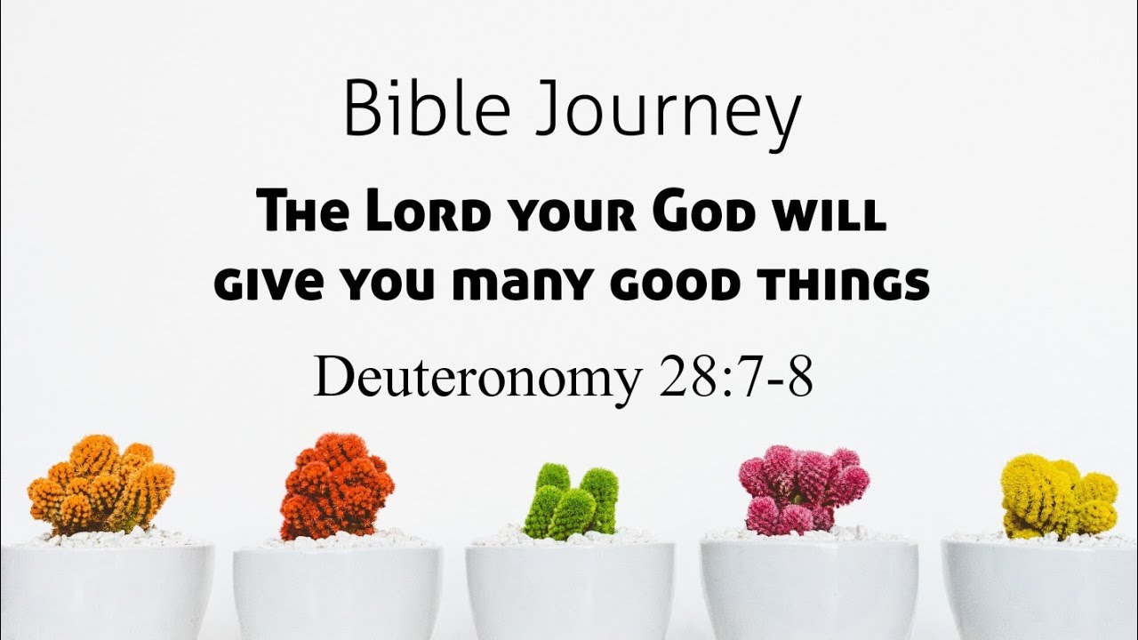 Bible Journey | Deuteronomy 28:7‭-‬8 - Deuteronomy 28:7 - Bible Portal