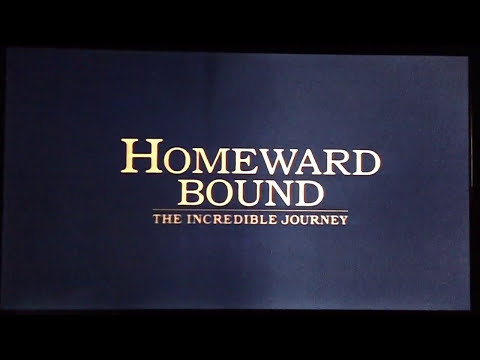 The 1994 Laserdisc Opening To Homeward Bound The Incredible Journey From Walt Disney Pictures