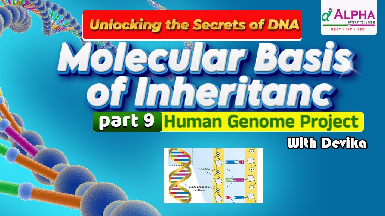 Human Genome Project in Tamil 🔬 | Molecular Basis of Inheritance ...
