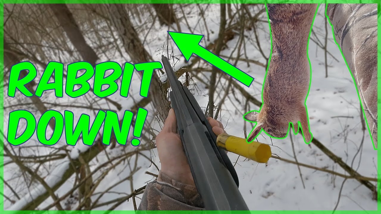 Dad Dogs and Rabbits - Michigan 2022 rabbit hunt - YouTube