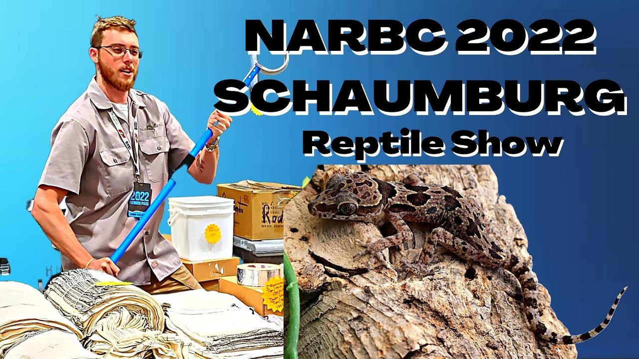 Reptile Show Schaumburg - NARBC 2022 - YouTube