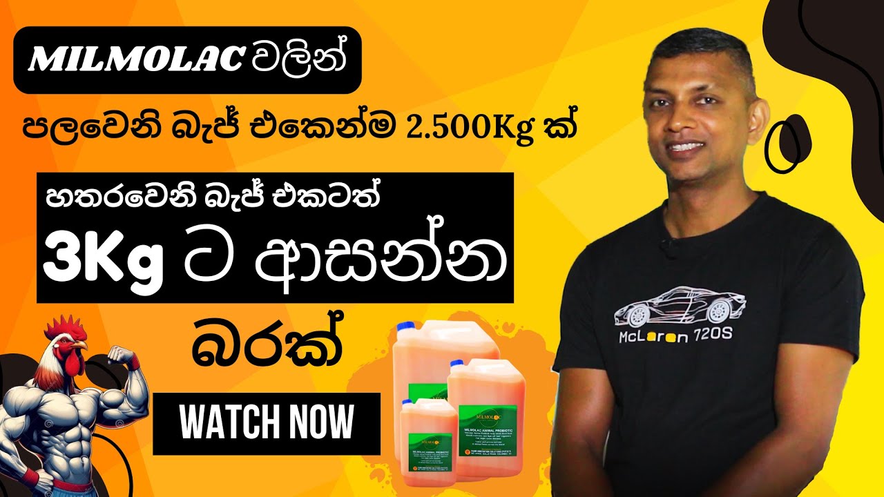 2.200Kgක් කියන්නෙත් මහ බරක්ද | Milmolac නිසා 3Kgට ආසන්න බරක් මම ගන්නවා ...