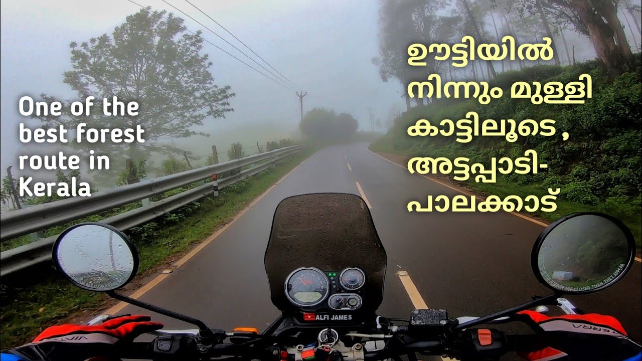 Ooty to palakkad via mulli forest - one of the best forest route in ...