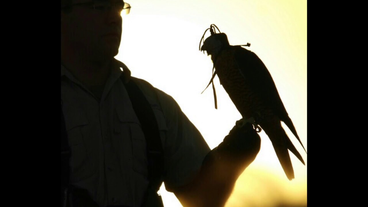 FCAKorea팀 비젼🇰🇷acts30 - YouTube