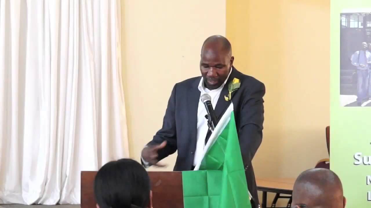 Dumisani Moyo about OSISA and JSS 2014 - YouTube