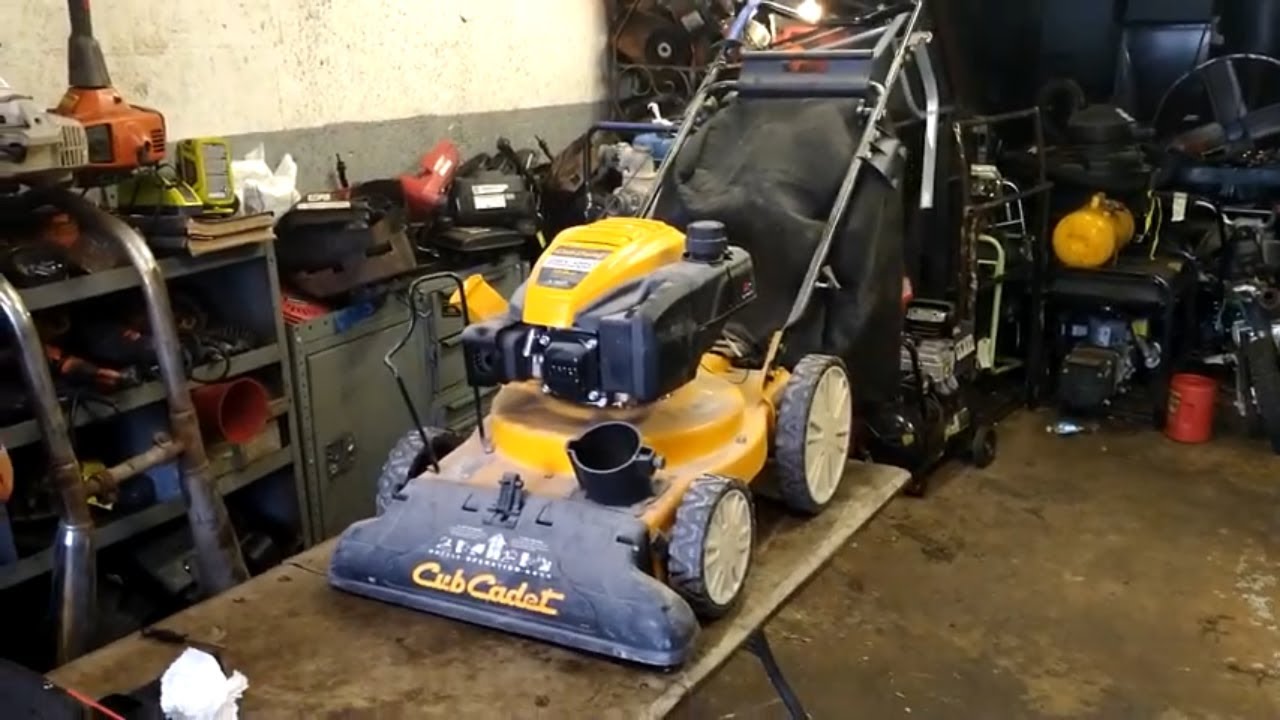 Cleaning The Carburetor On A 8hp Cub Cadet Chipper Shredder With