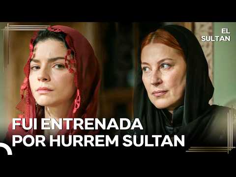 El Ascenso De La Esclava Nurbanu A Ser Sultana Madre | El Sultán