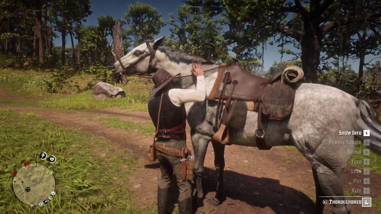 Red Dead Redemption 2 - wild boar hunting - YouTube