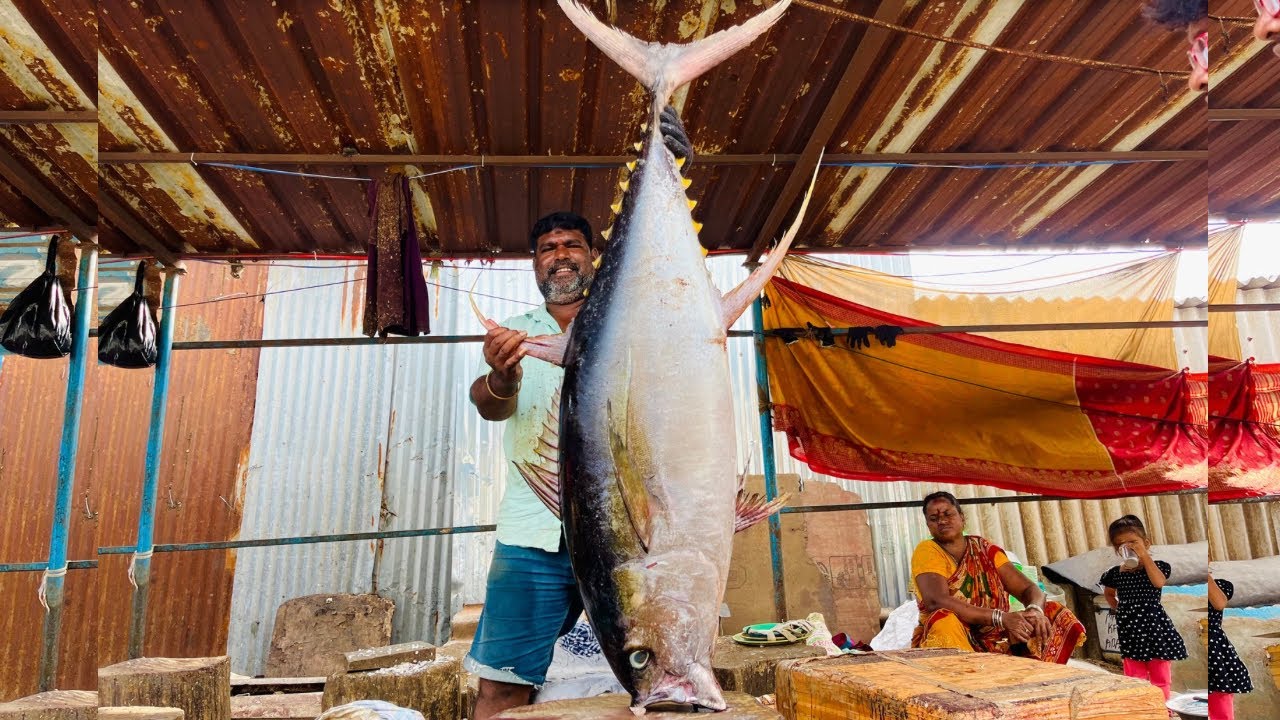 KASIMEDU 🔥 MINNAL RAJA | 47KG GIANTS YELLOW FIN TUNA FISH CUTTING VIDEO ...