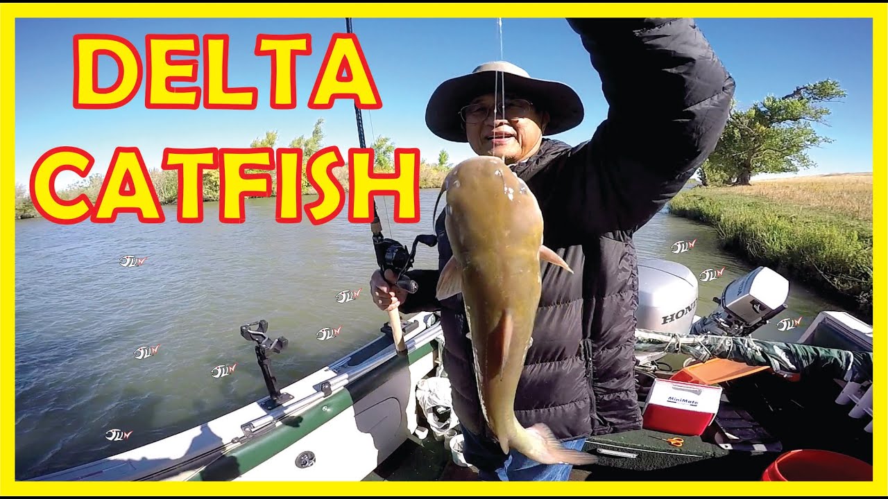 Catfishing in the California Delta - YouTube