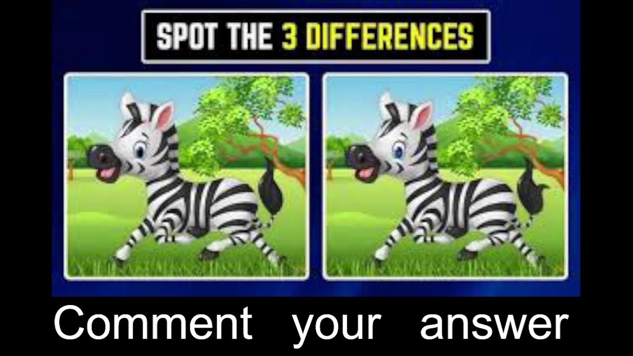 What is the Answer ? - YouTube