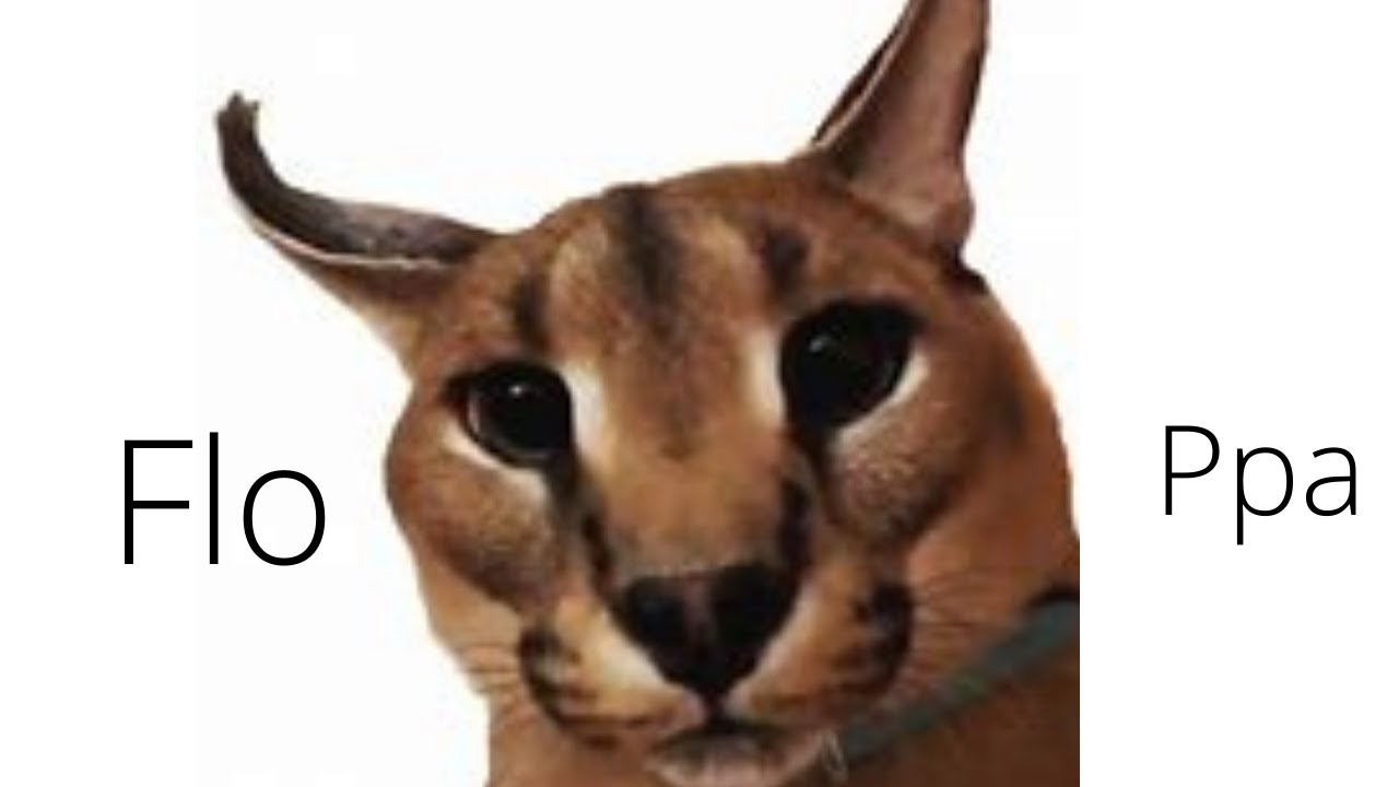 Jugando Raise A Floppa Con Un Amigo - YouTube