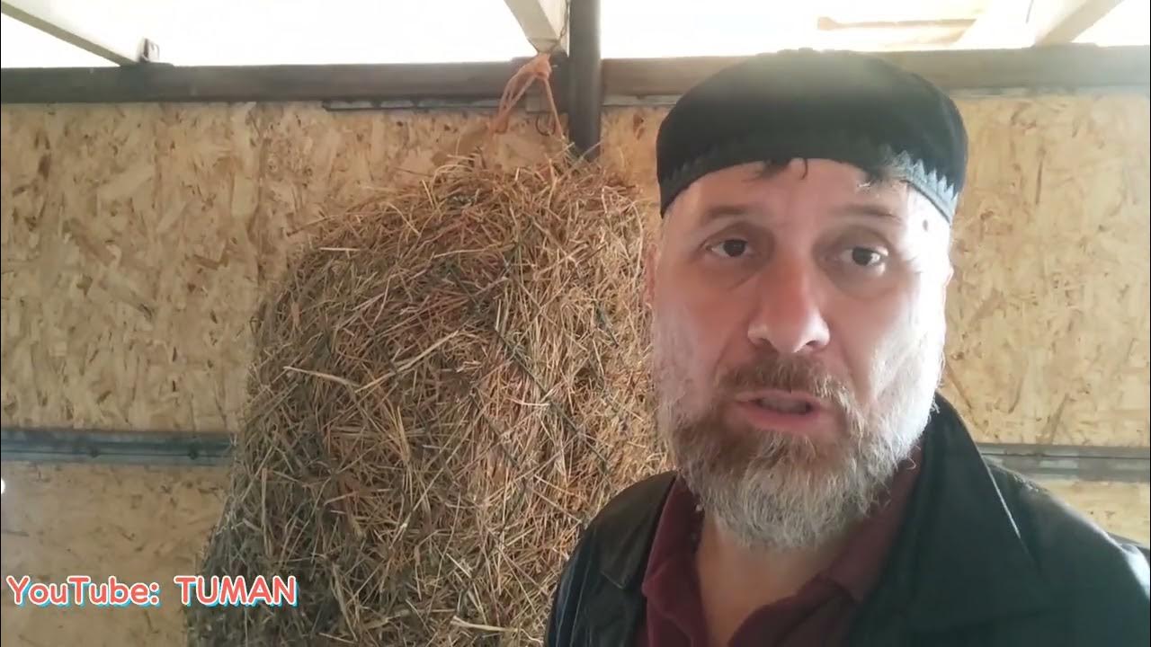 Целый Тюк Сена, на сколько хватит в Рептухе жеребцу Лахибу. Лошадь ...