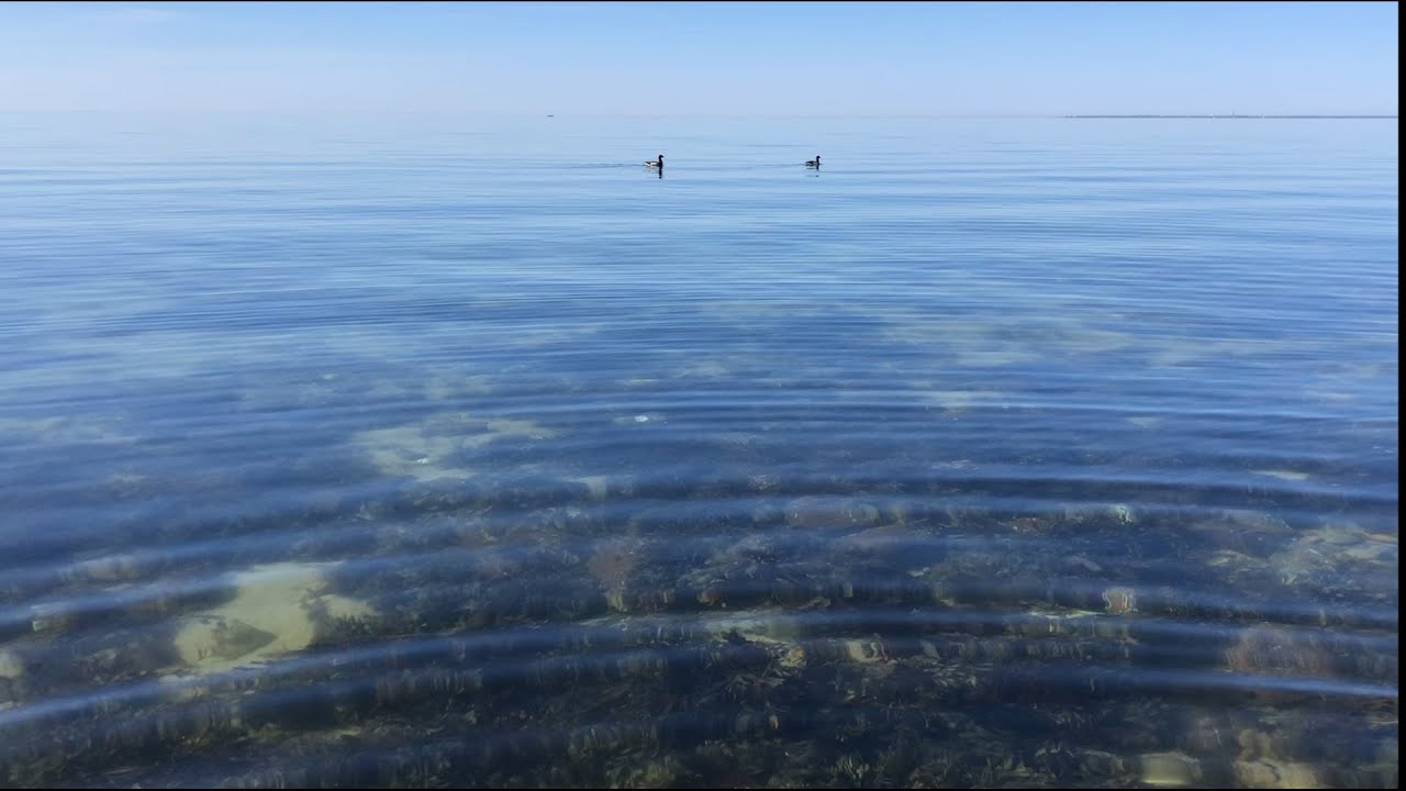 Wading through crystal clear water in Cape Cod National Seashore - YouTube