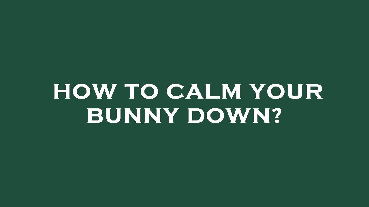 How to calm your bunny down? - YouTube
