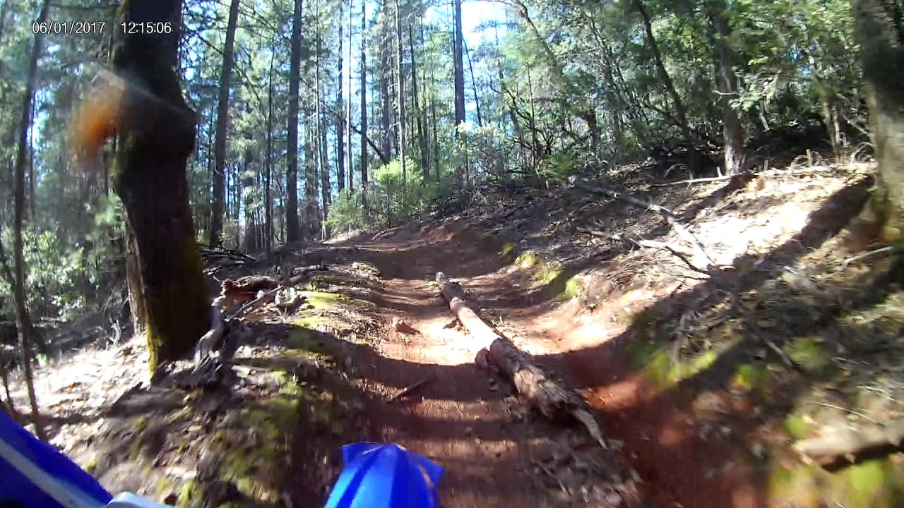 2 3 18 Georgetown 1st lap hit tree - YouTube