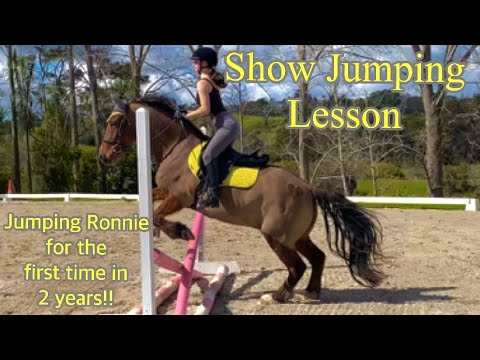 Show Jumping Lesson ~ jumping Ronnie for the first time in 2 yrs ...