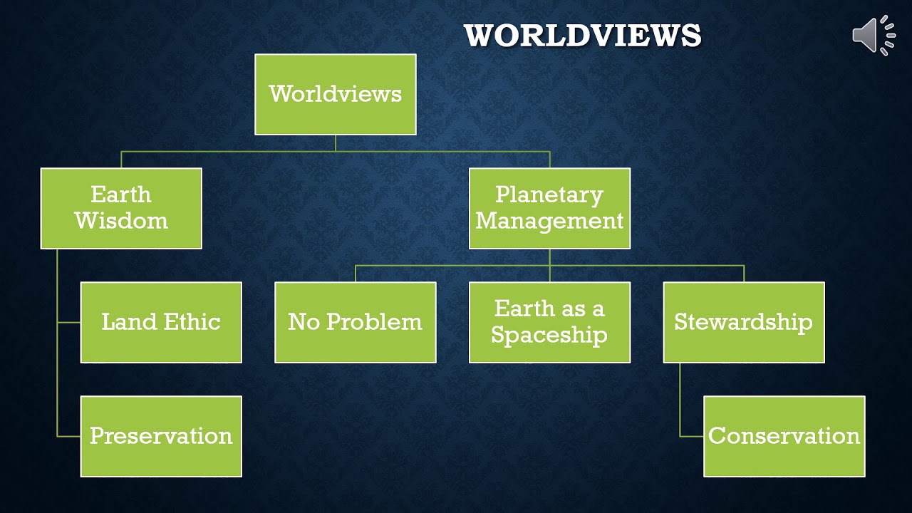 Module 1 Review - YouTube