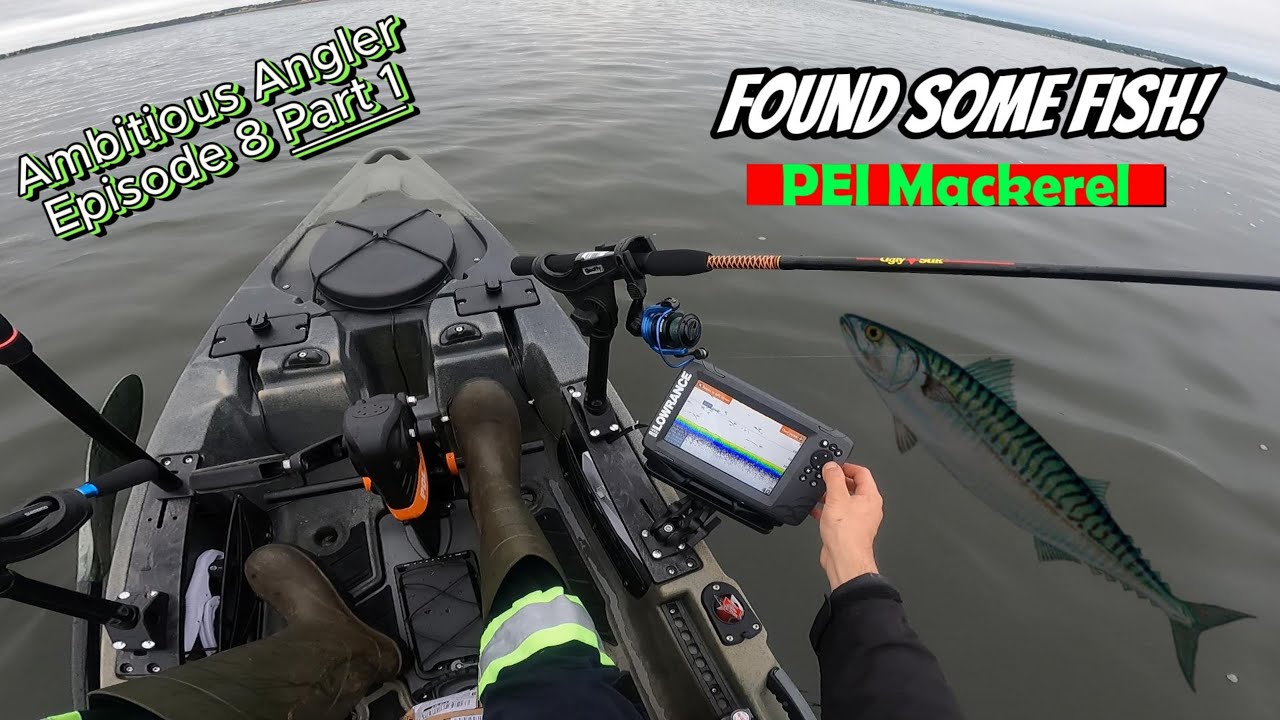 PEI Striped Bass Fishing (Mack Attack!): Ambitious Angler Episode 8 ...