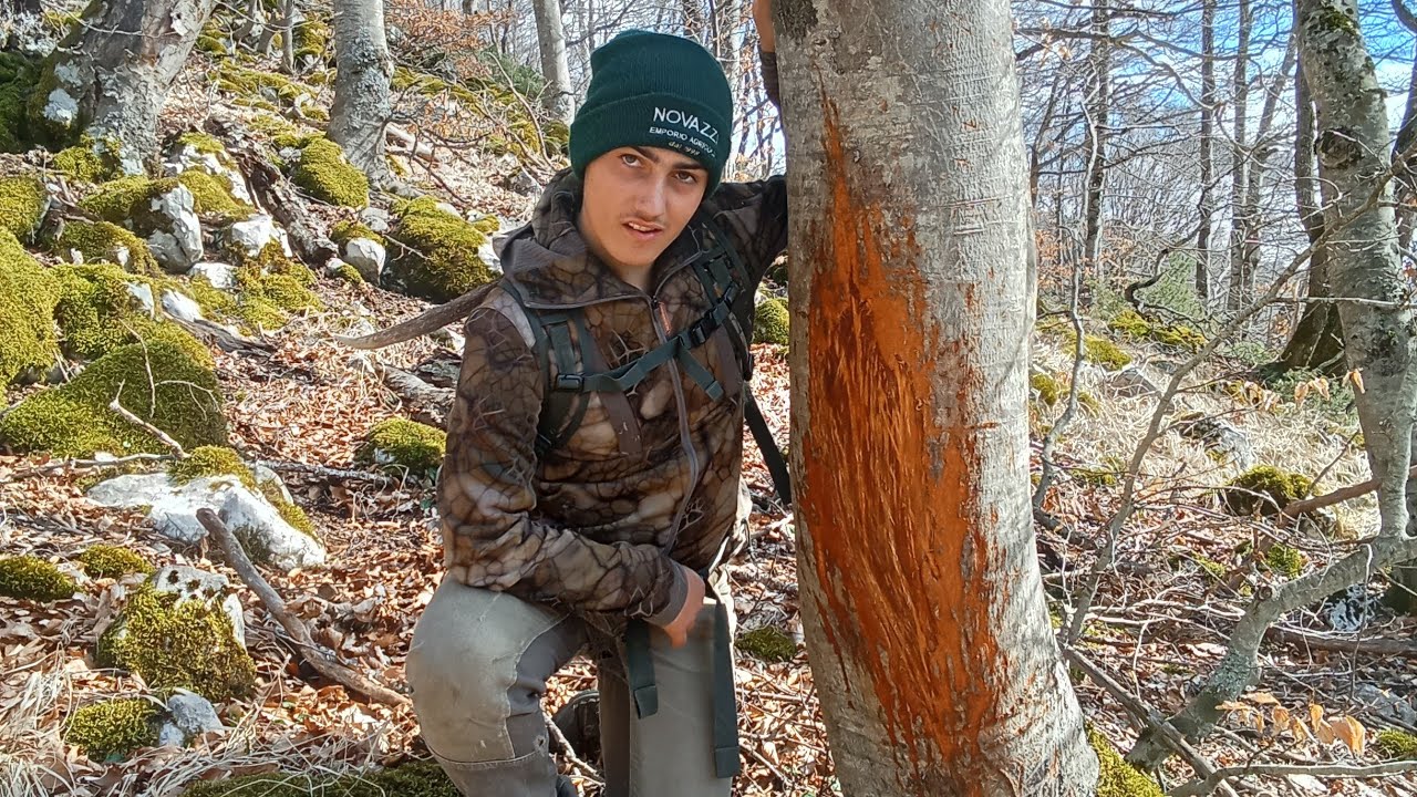 Palchi di cervo , 03 / 2024 . Solo roba vecchia - YouTube