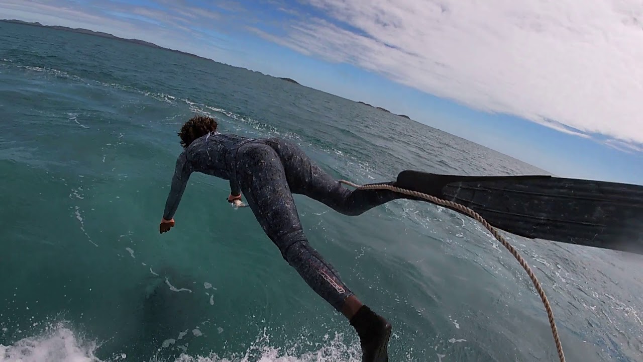 Turtle hunting 🐢 ( Badu island ) - YouTube