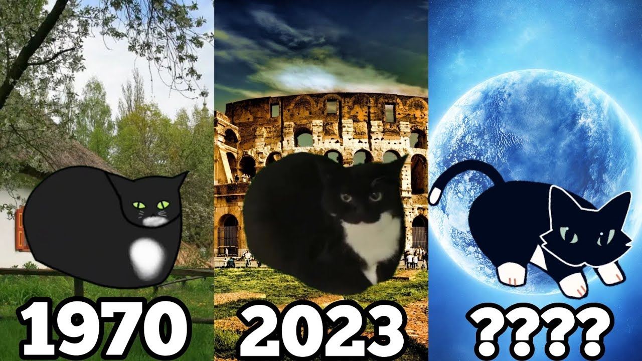 Maxwell the Cat Dance in Different years part 37 - YouTube