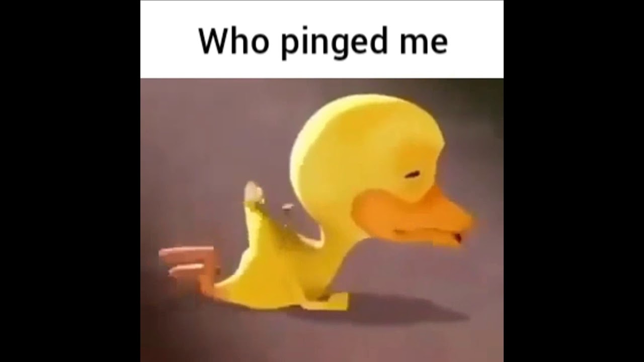 who pinged me??? - YouTube