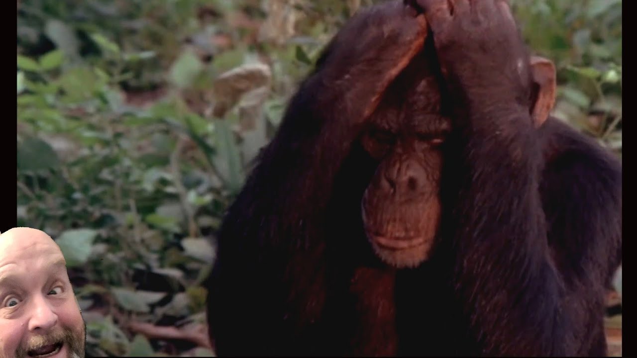 Zindy the Swamp Boy - RiffTrax - Best Line - YouTube